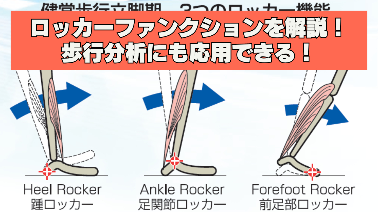【歩行】3つの重要なロッカーファンクションを解説！歩行分析にも応用 | リハビリの一助となりますように