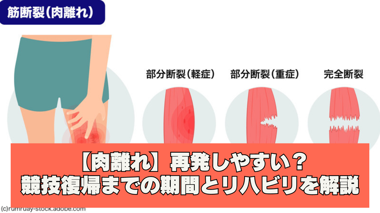 【肉離れ】再発しやすい？競技復帰までの期間とリハビリを解説 | リハビリの一助となりますように